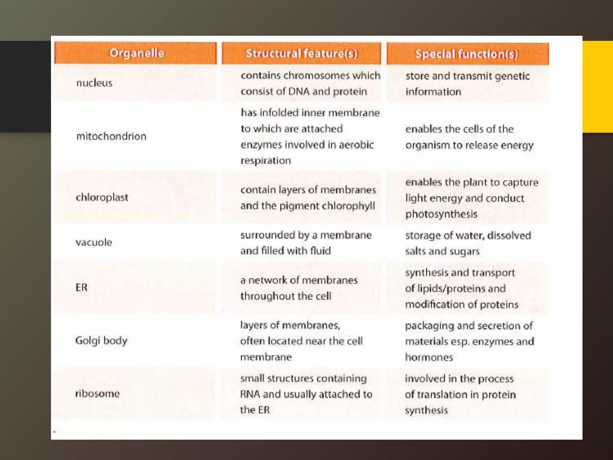 Cell structure & organisation | PPTX