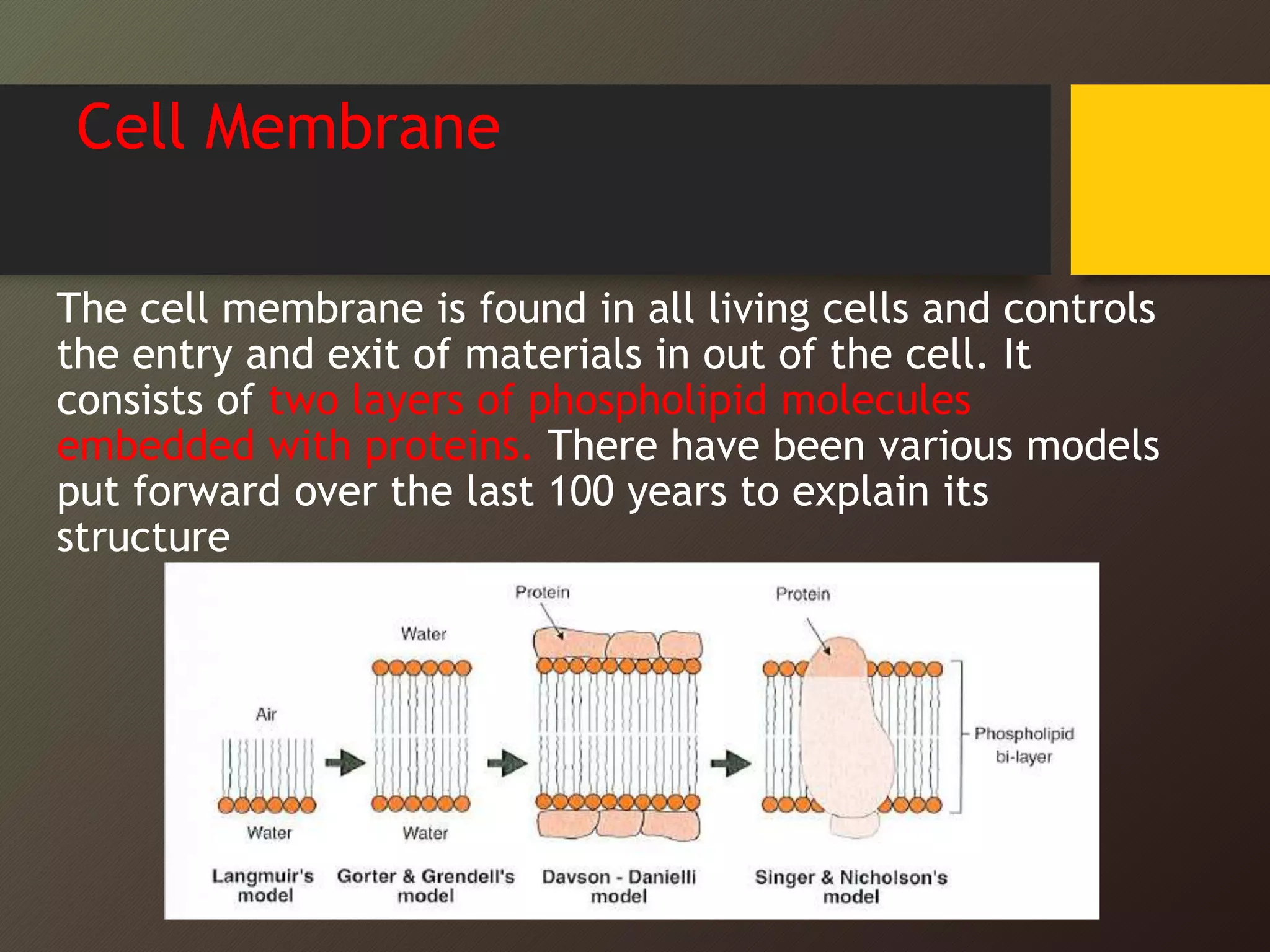 Cell structure & organisation | PPTX