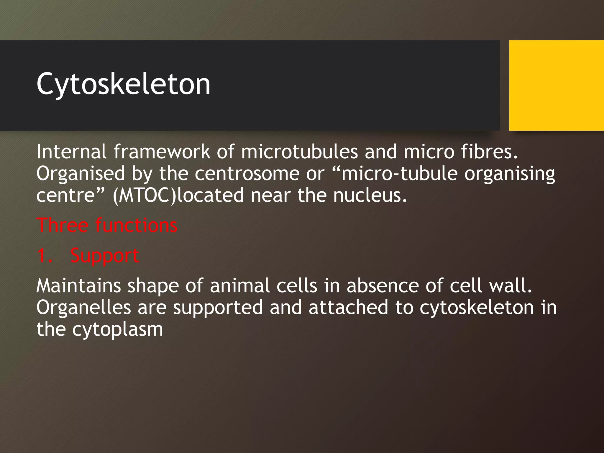 Cell structure & organisation | PPTX