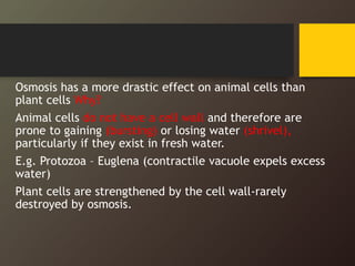 Cell structure & organisation | PPTX