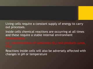 Cell structure & organisation | PPT