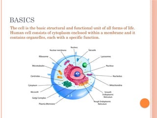 Human cell structure educational presentation | PPTX