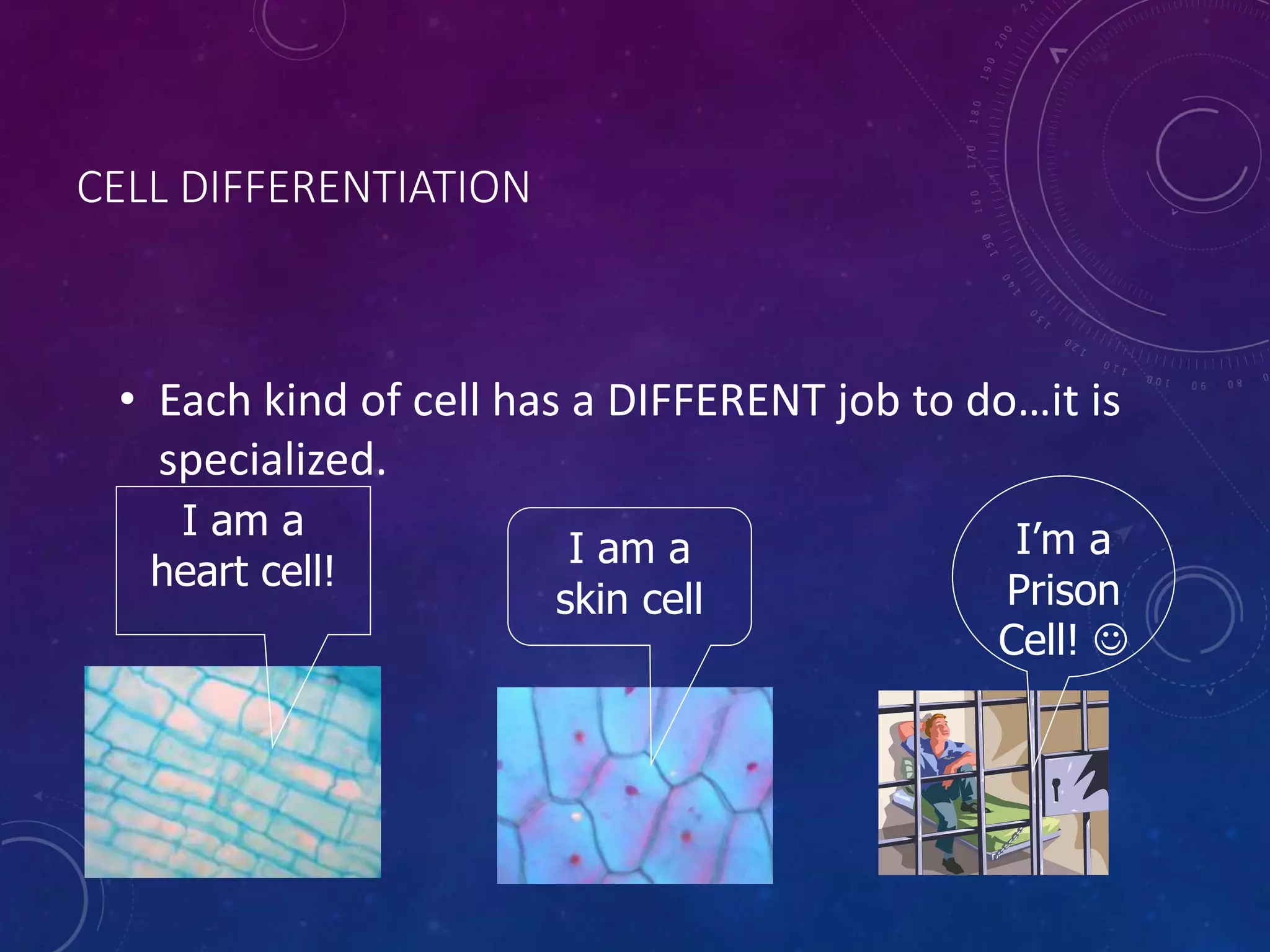 Cell structure _ppt | PPT