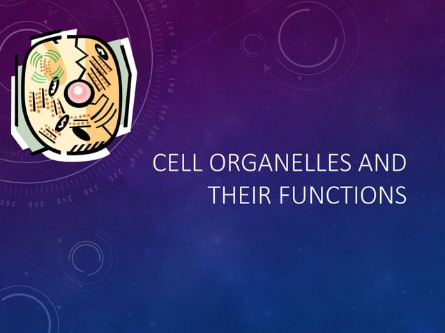 Cell Structure Ppt Ppt