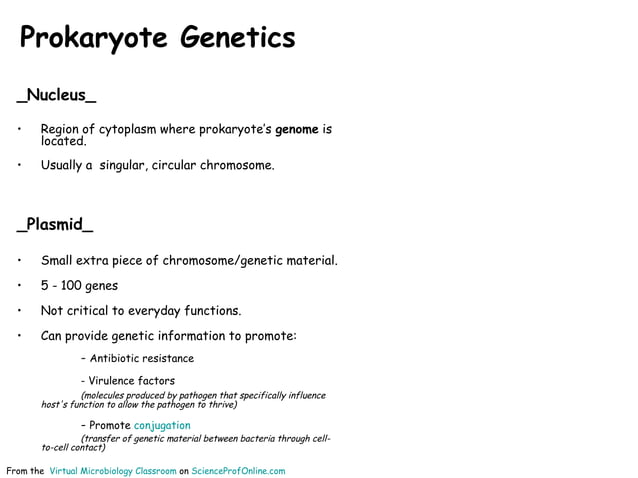 Cell structure prokaryotes_vmc | PPT