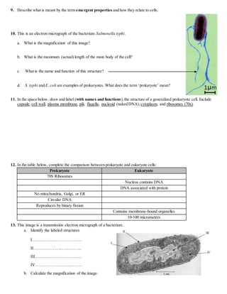 Eukaryotic Cell Structure Worksheet