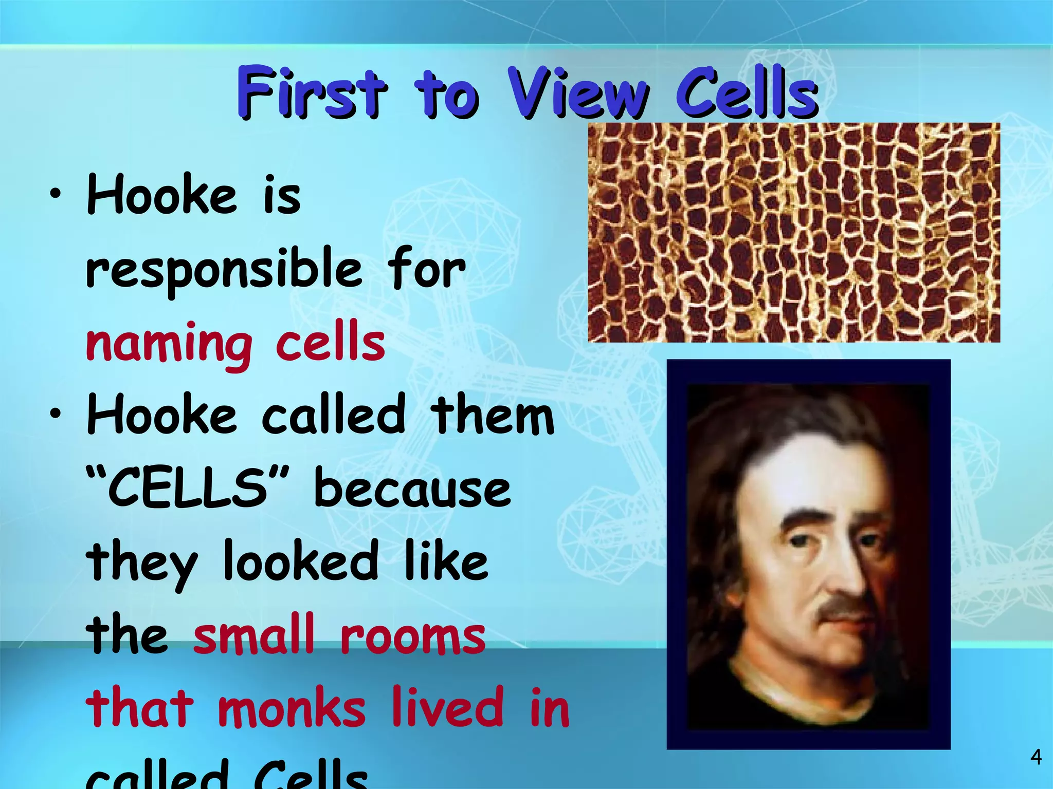 Cell structure revised | PPT