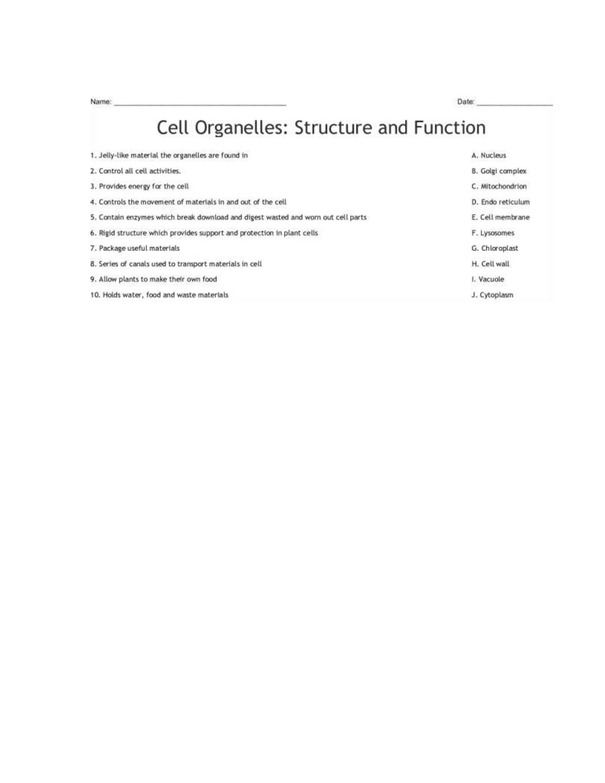 cell structure revision questions.do cx | DOCX | Biological Sciences ...