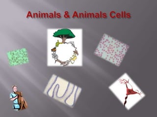 Cell structures | PPTX