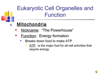 Cell structures and functions | PPT