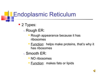 Cell structures and functions | PPT