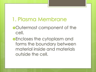Cell structures and functions | PPTX