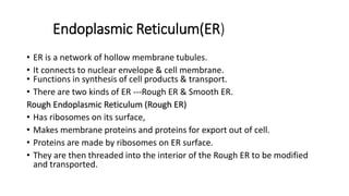 Cell Structures and Functions In pathology.pptx