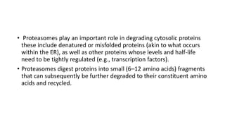 Cell Structures and Functions In pathology.pptx