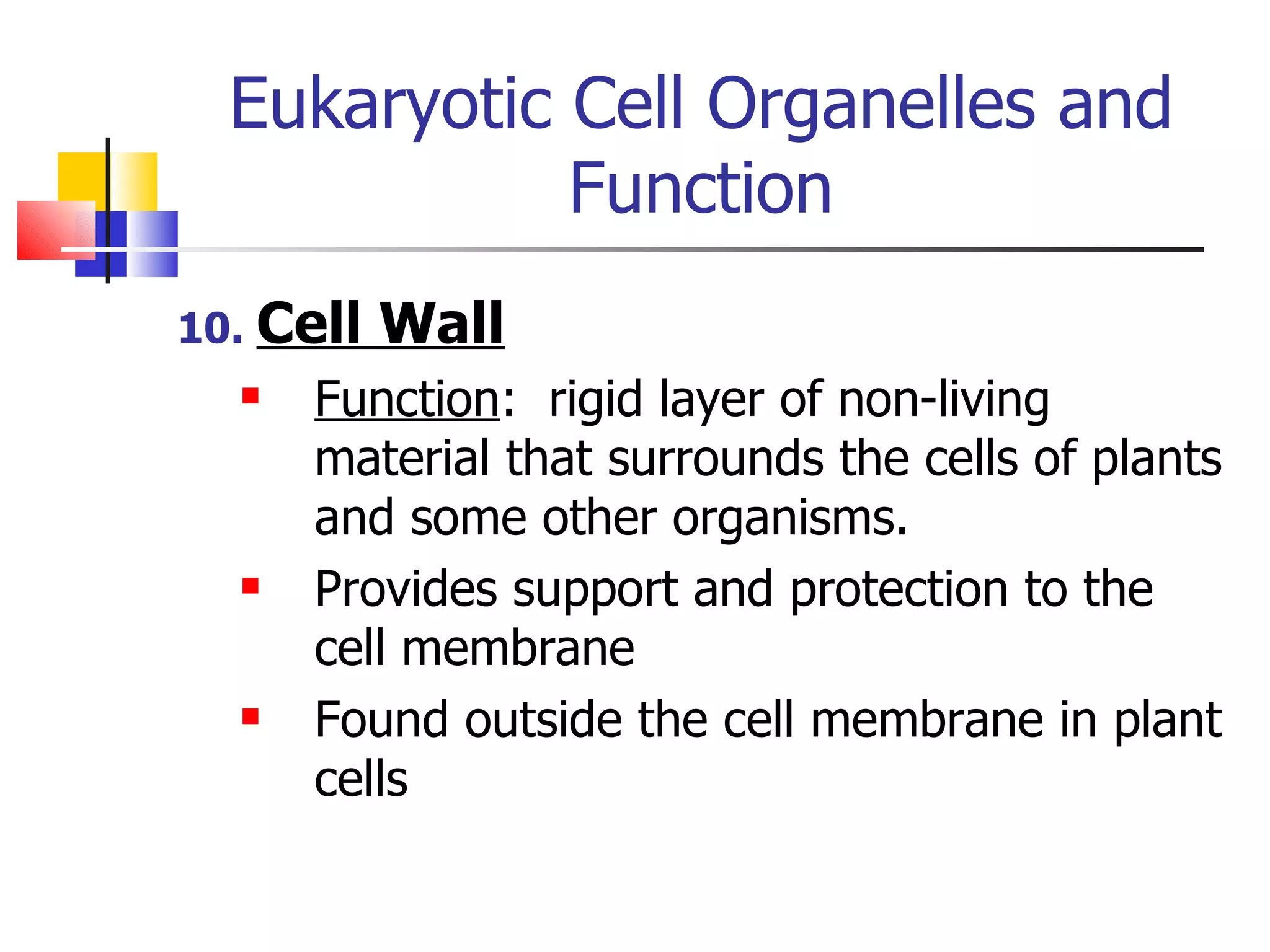 Cell Structures, Functions And Transport | PPT