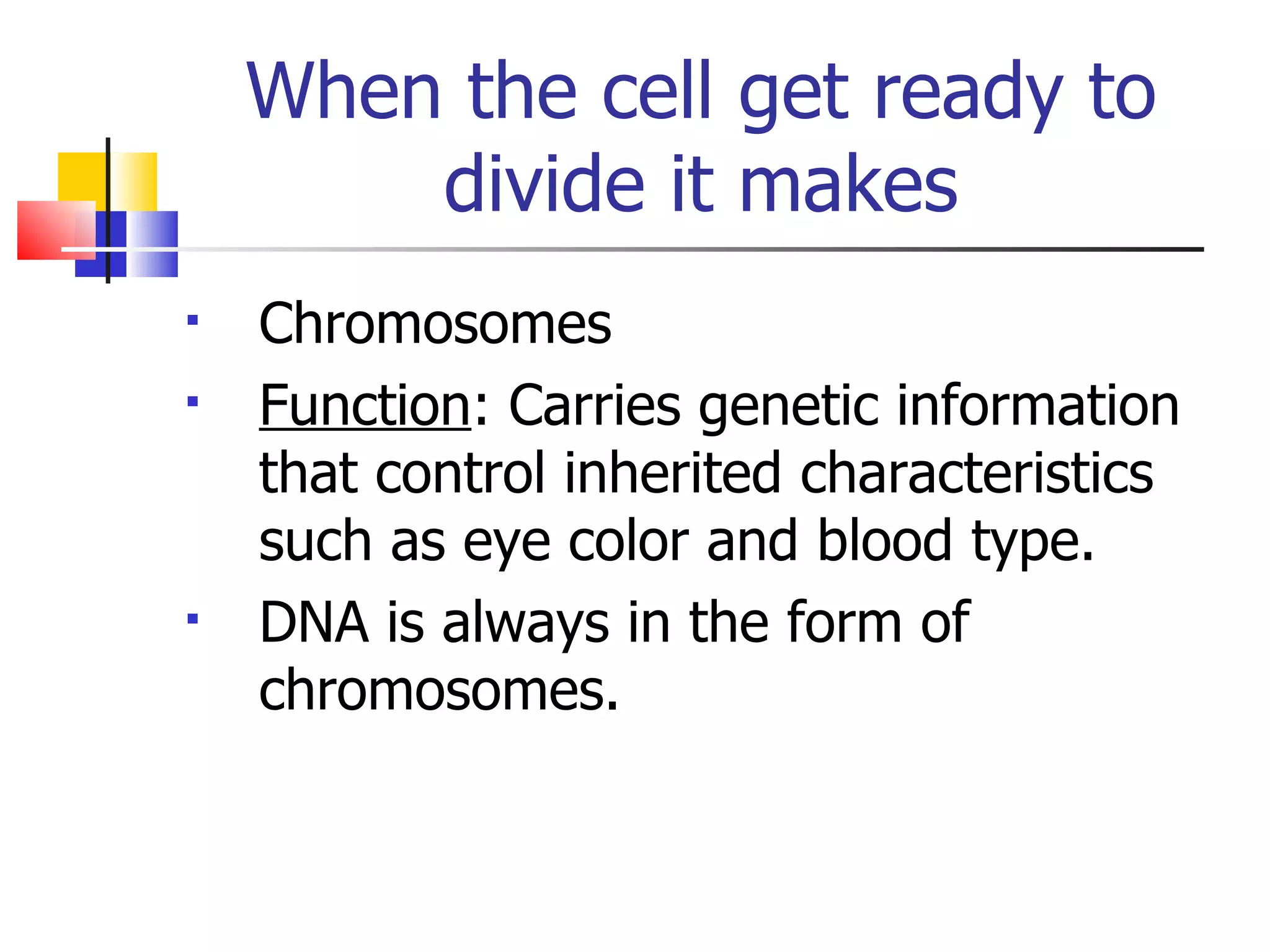 Cell Structures, Functions And Transport | PPT