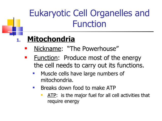 Cell Structures, Functions And Transport | PPT