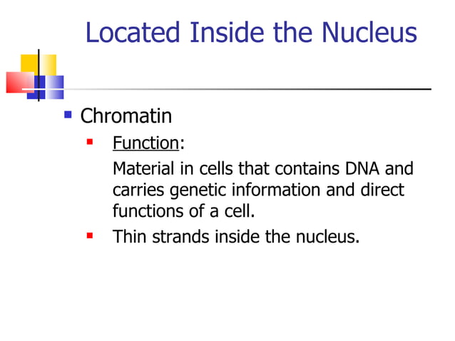 Cell Structures, Functions And Transport | PPT