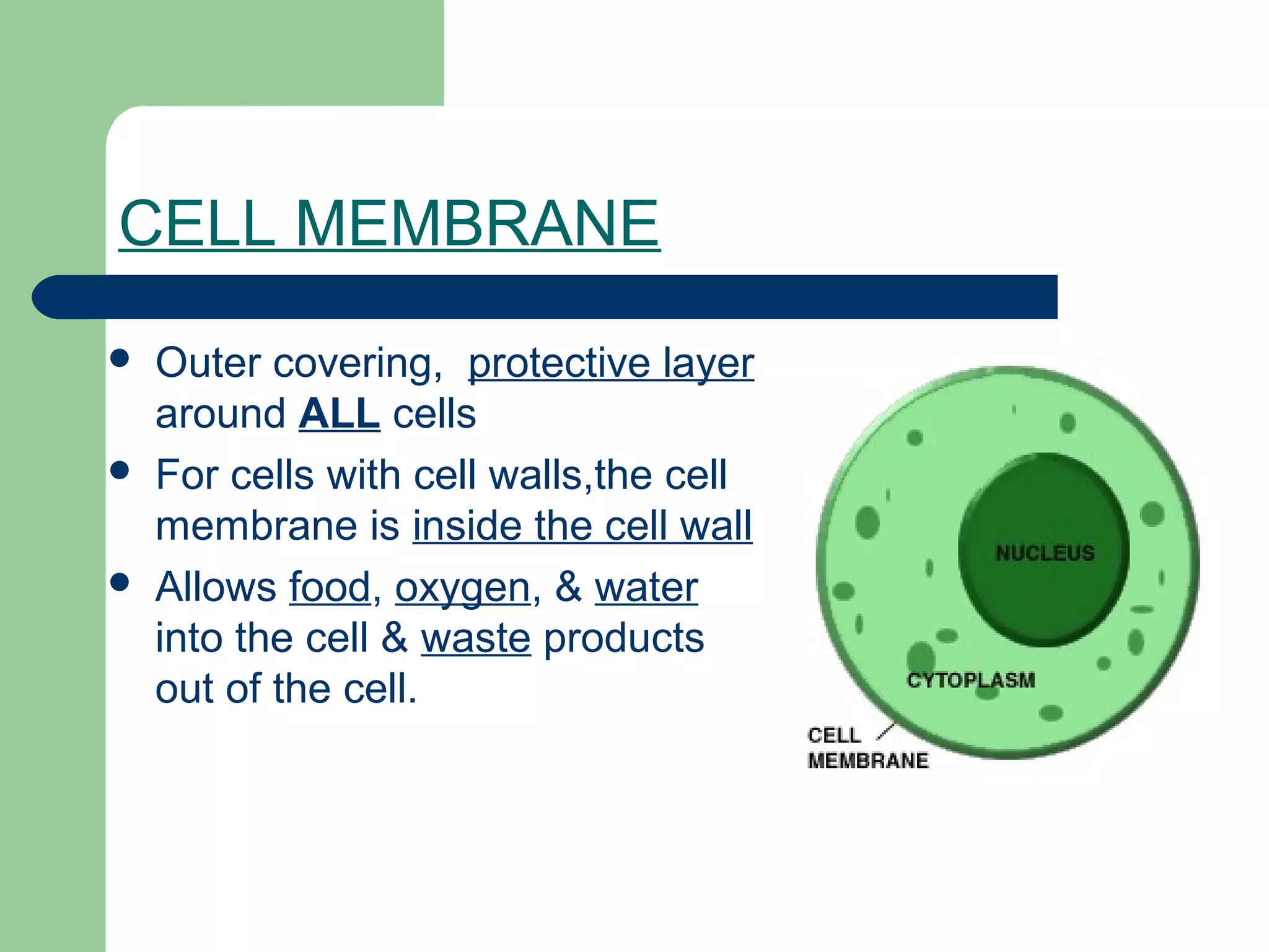Cell structures lesson1 | PPT | Biological Sciences | Science