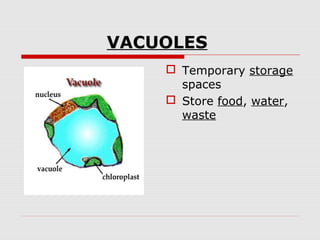 Cell structures lesson2 | PPT