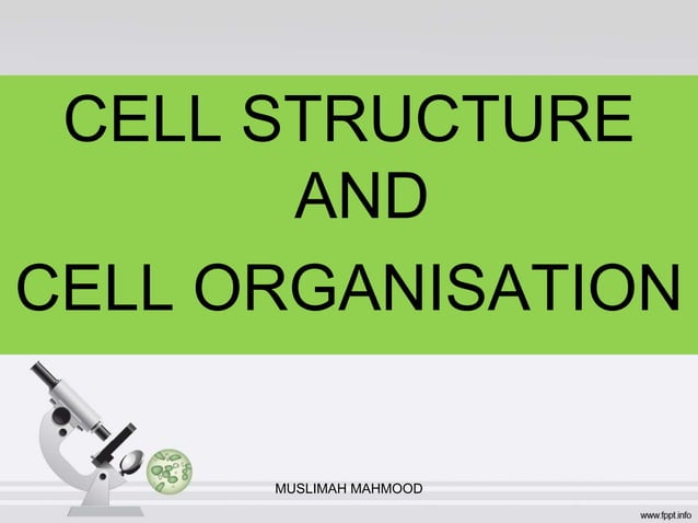 Cell structure | PPT