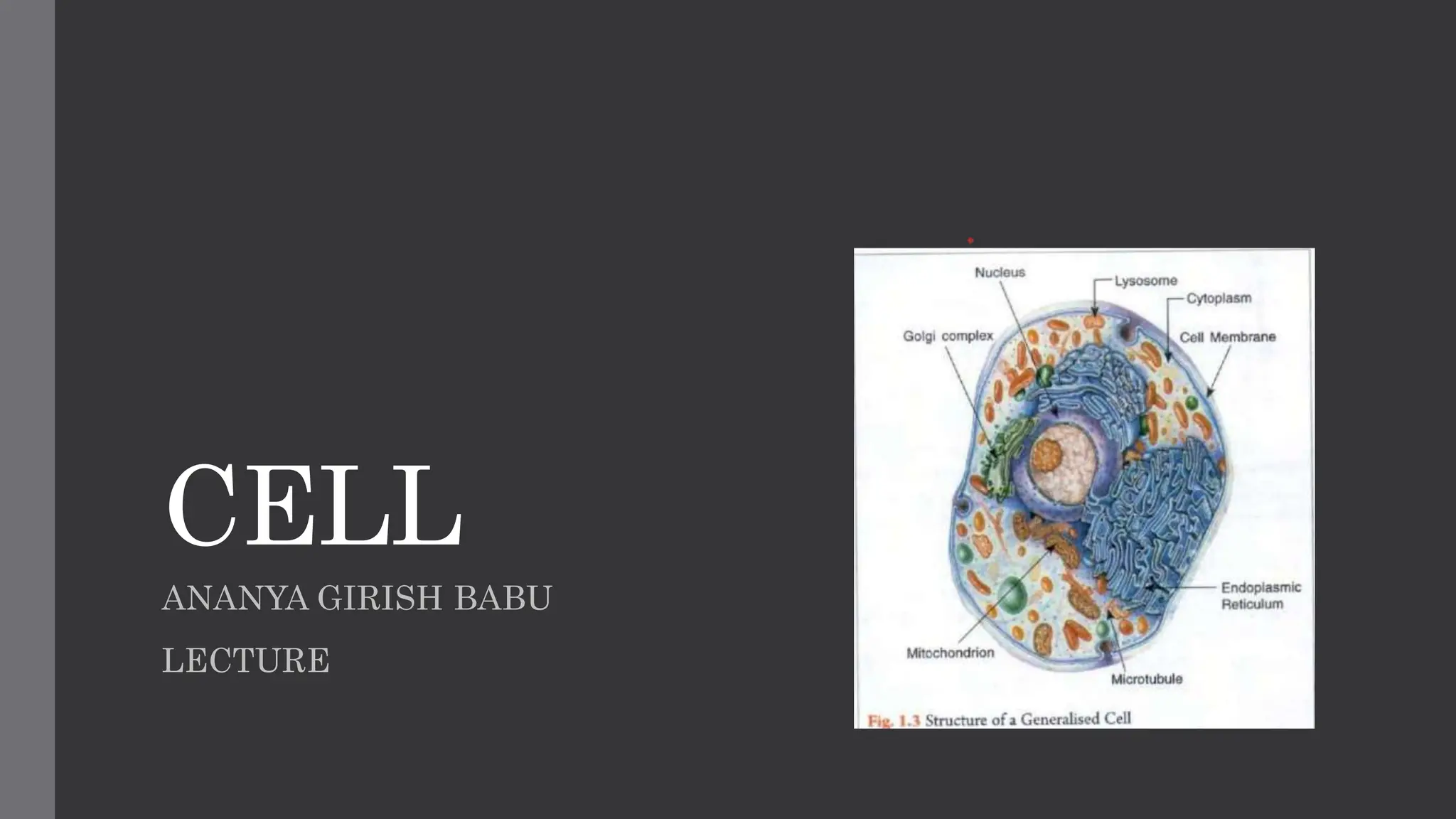 Cell structure slideshare.pptx Unlocking the Secrets of Cells: Structure, Function, and Beyond ...