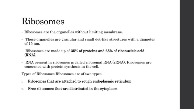 Cell structure slideshare.pptx Unlocking the Secrets of Cells: Structure, Function, and Beyond ...