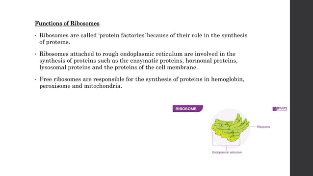 Cell structure slideshare.pptx Unlocking the Secrets of Cells: Structure, Function, and Beyond ...