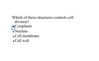 Cell structure, wk | PDF