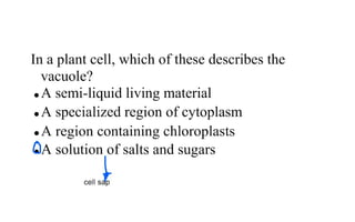 Cell structure, wk | PDF