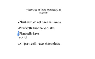 Cell structure, wk | PDF