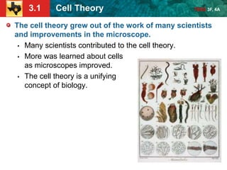 Biology: K-12 Cell Strucutre and Function.ppt | Free Download