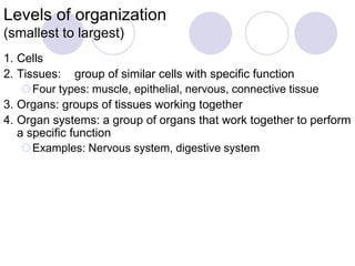 Biology: K-12 Cell Strucutre and Function.ppt