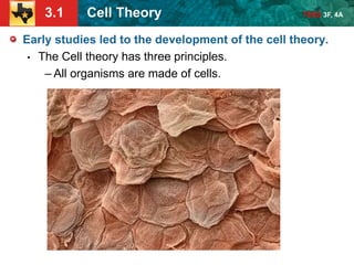 Biology: K-12 Cell Strucutre and Function.ppt