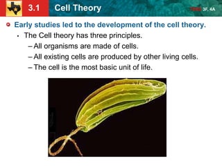 Biology: K-12 Cell Strucutre and Function.ppt