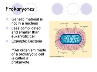 Biology: K-12 Cell Strucutre and Function.ppt