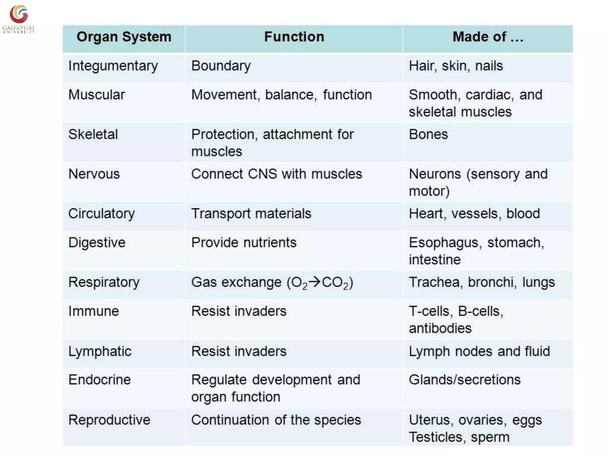 Cell stucture and organ systems | PPT