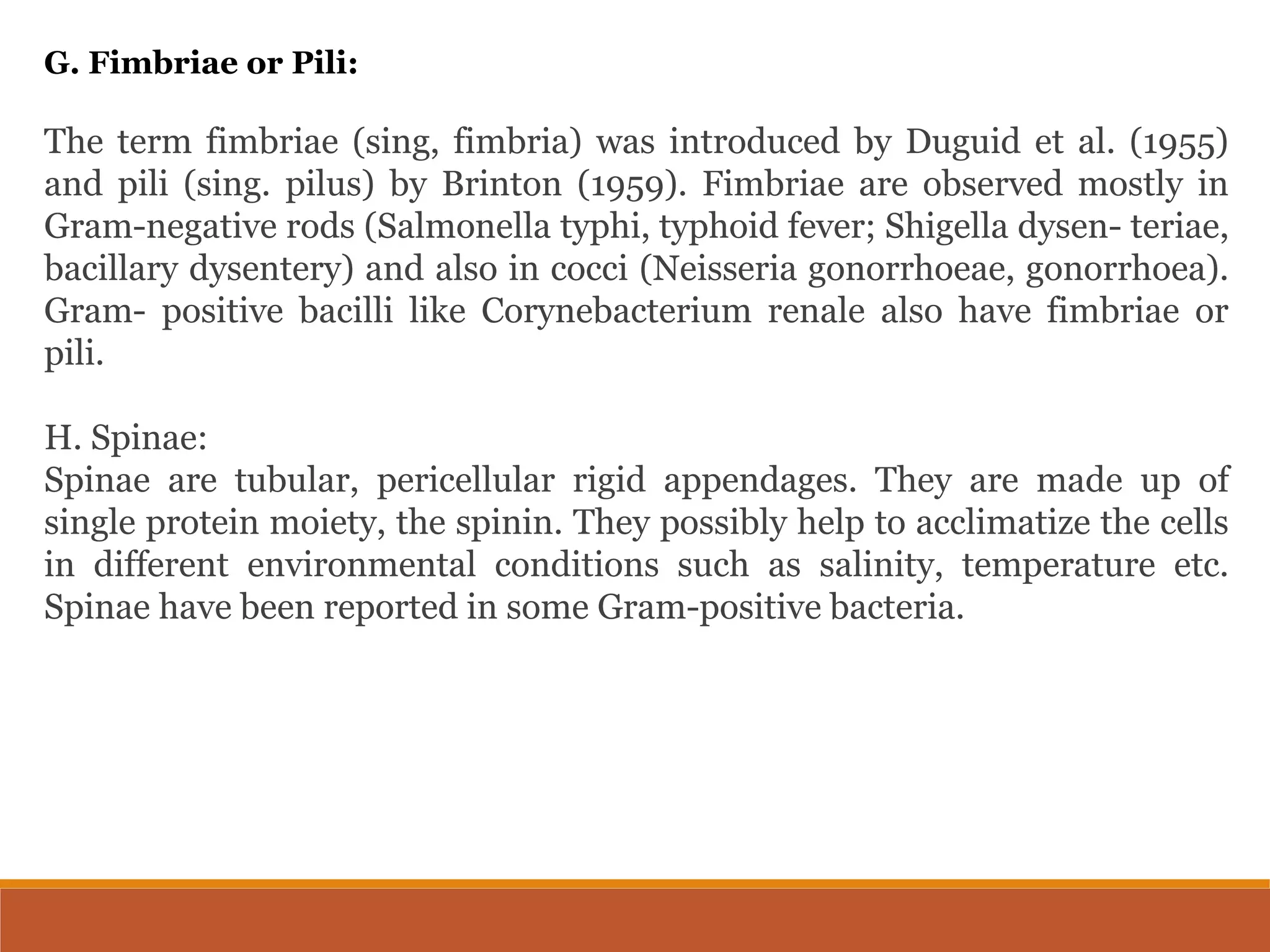 Cell stucture of bacteria | PPTX