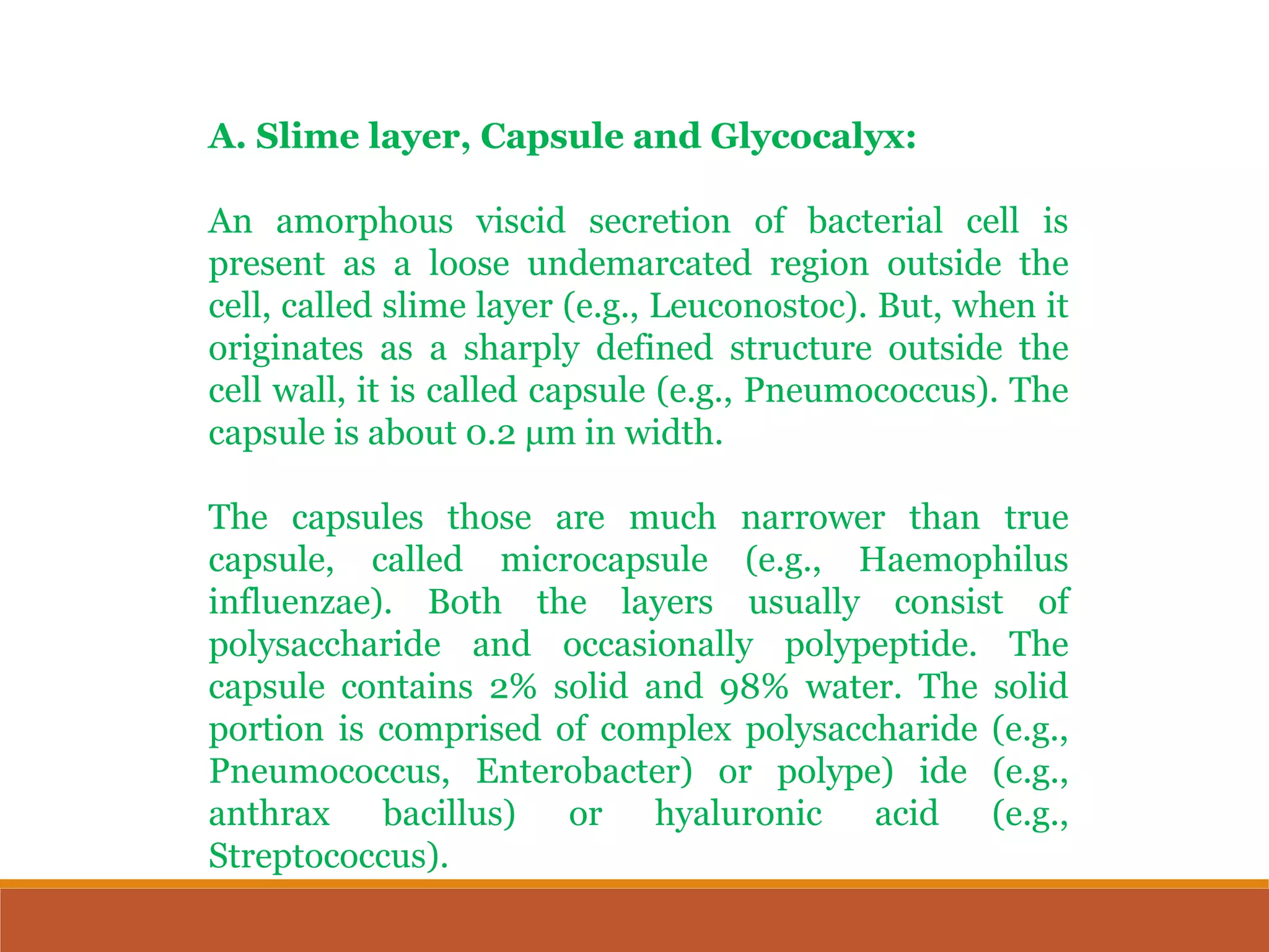 Cell stucture of bacteria | PPTX | Biological Sciences | Science