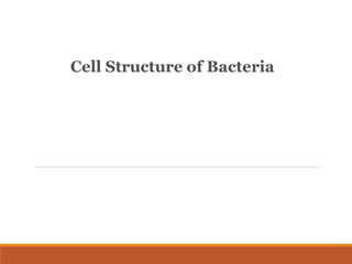Cell stucture of bacteria | PPTX