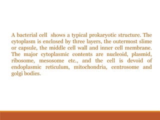 Cell stucture of bacteria | PPTX