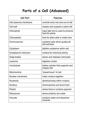 Cellstudy | PDF