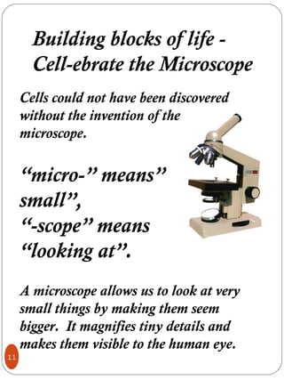 Cell summary | PPT | Biological Sciences | Science