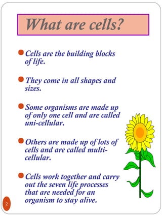 Cell summary | PPT