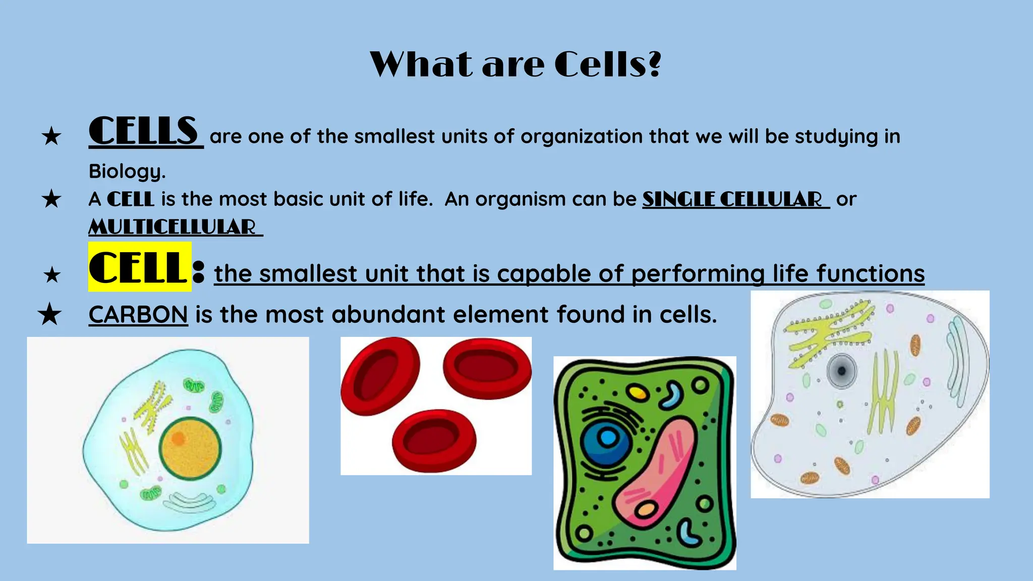 High School Biology - Cells Unit: Structure & Function | PPT