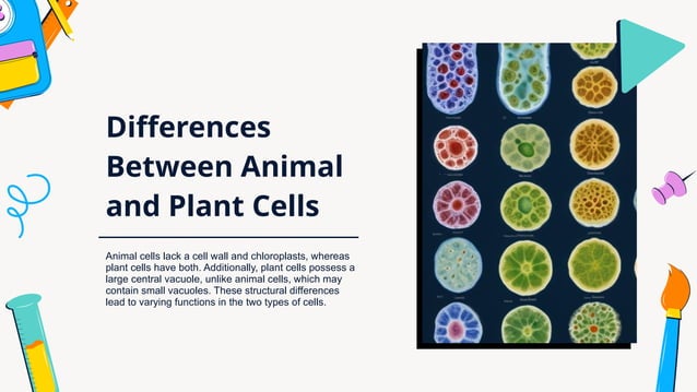 Cells_ Units of Life.pptx of diff between animal cell and plant cells | PPT