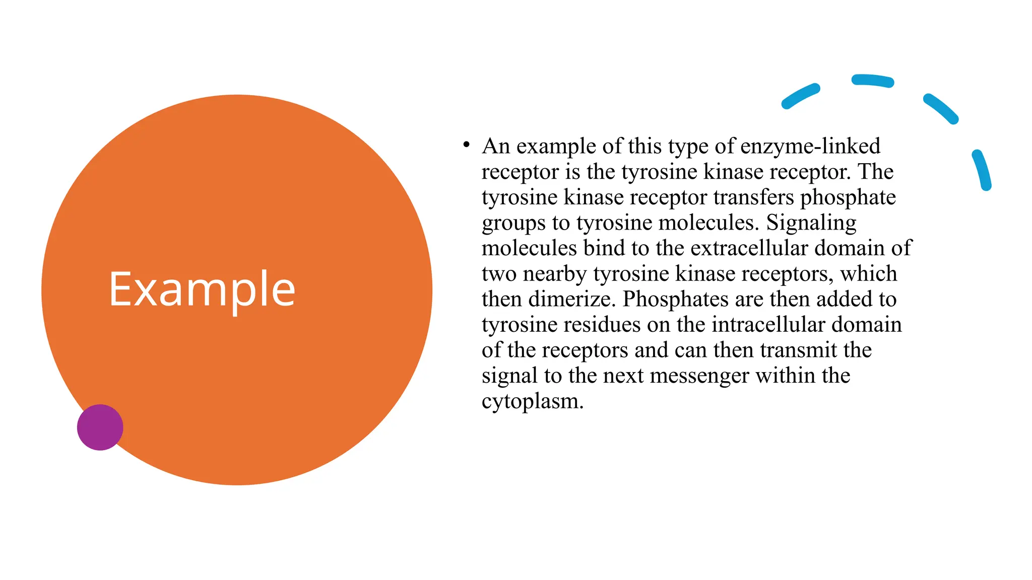Cell Surface Receptor & internal Receptor.pptx