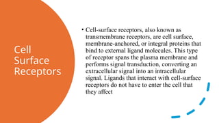 Cell Surface Receptor & internal Receptor.pptx