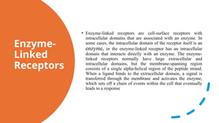 Cell Surface Receptor & internal Receptor.pptx