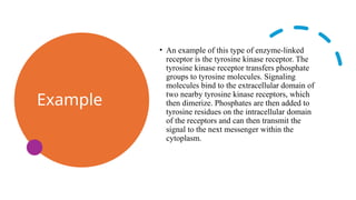 Cell Surface Receptor & internal Receptor.pptx